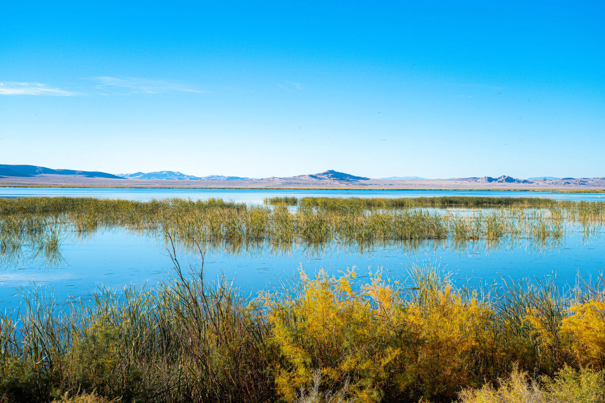 13 Unexpectedly Awesome Things To Do In Fallon - Visit Fallon