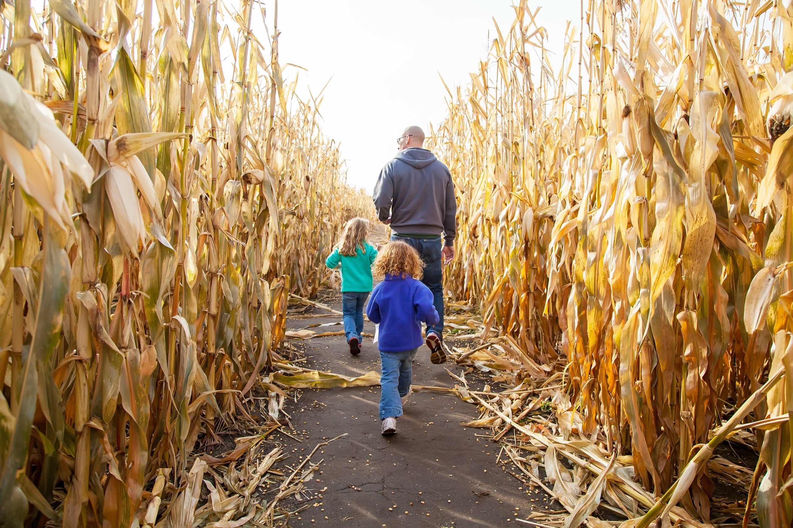 What To Wear to a Corn Maze: Fall Outfit Essentials - Visit Fallon
