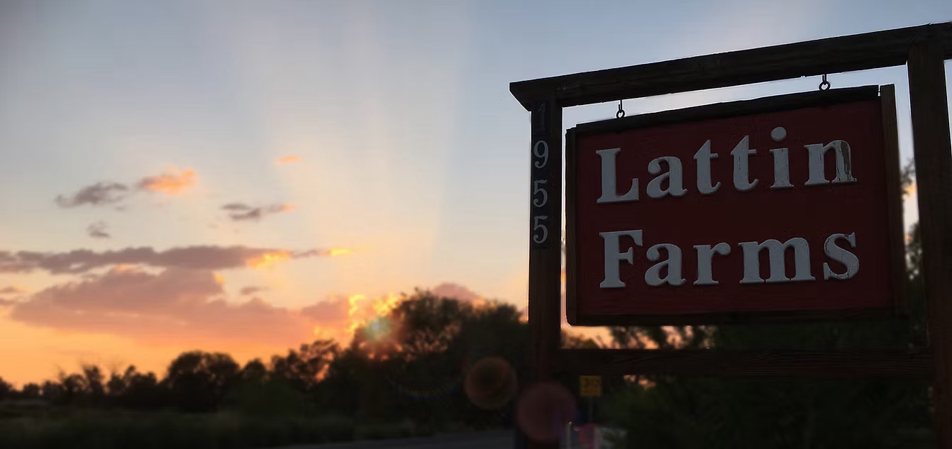The History Of Corn Mazes - Visit Fallon